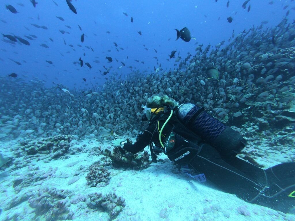 Diving Packages - All Inclusive Surf Camp and Yoga Retreat in Sri Lanka